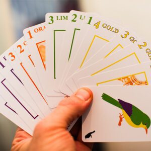 Fully Plastic, Long-Lasting Quality Rook Cards: 57 Cards